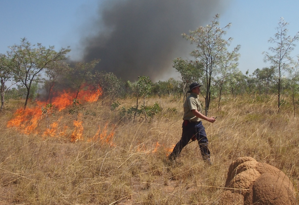 Mapping the burning bush - International Association of Wildland Fire