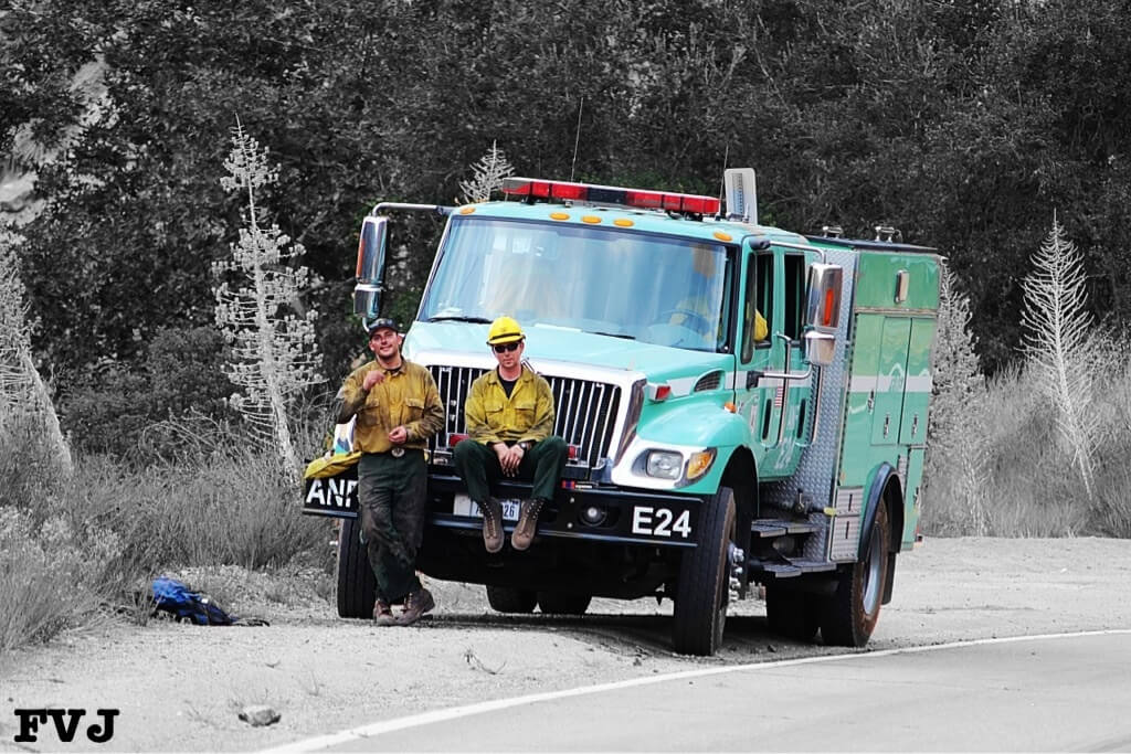 Featured-Image-049 - International Association of Wildland Fire