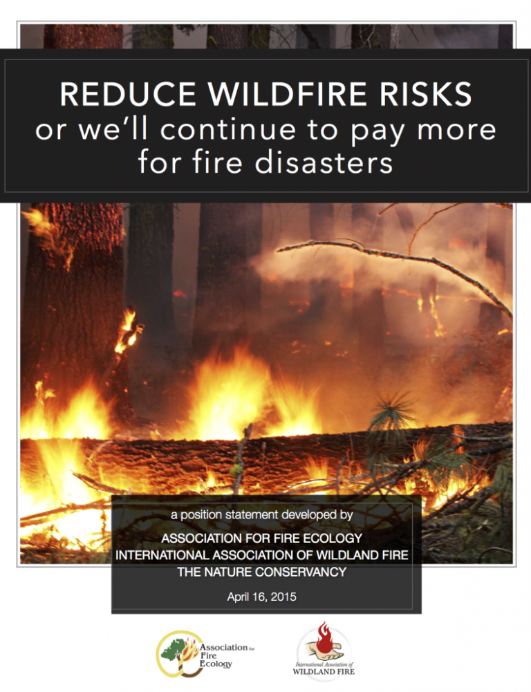 Reduce wildfire risks or pay more for fire disasters - International ...