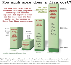 Reduce wildfire risks or pay more for fire disasters - International ...