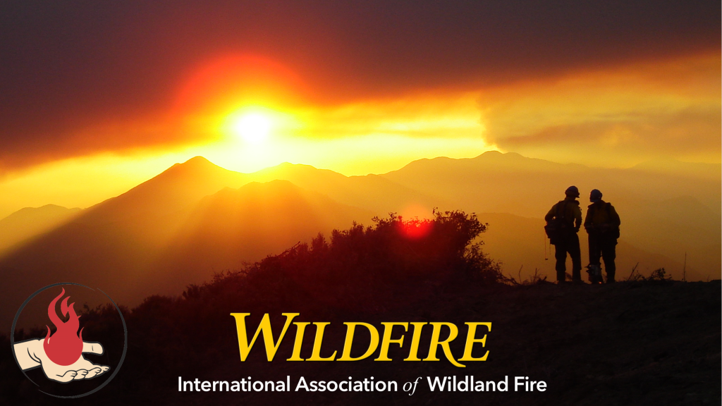 Improving Wildland Fire Management Strategies - International ...