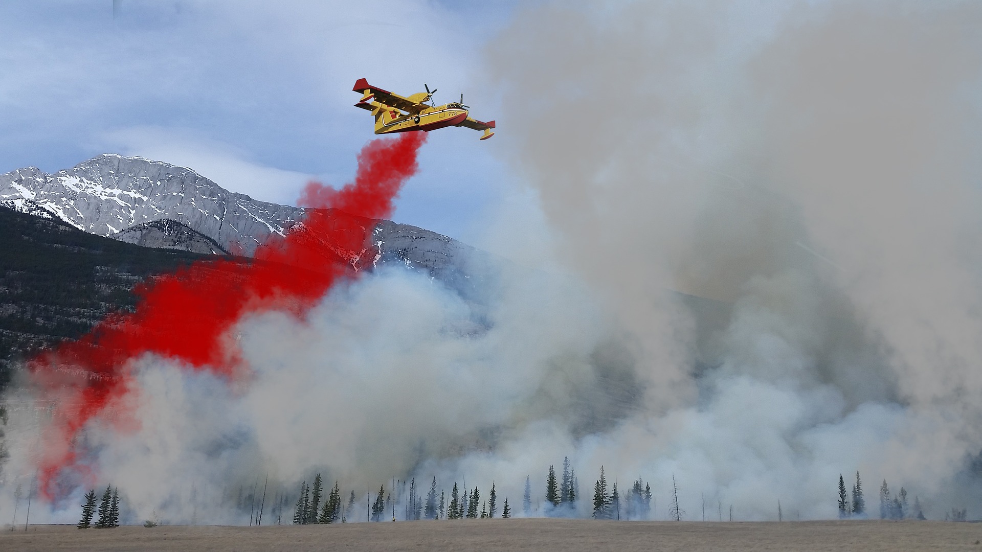 Transitions - International Association of Wildland Fire