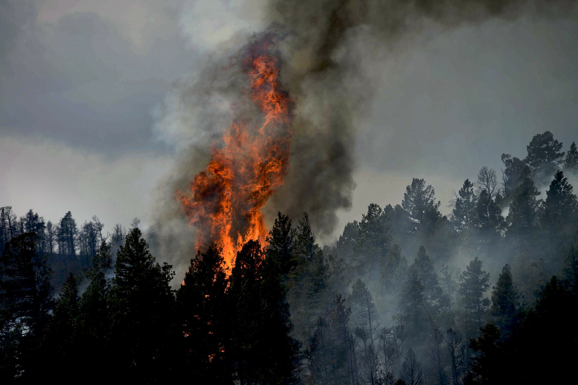 BRIEFING: When fire burns, are we prepared? - International Association ...