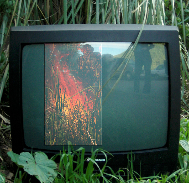 Reality TV? Solve the Fire Problem. - International Association of ...