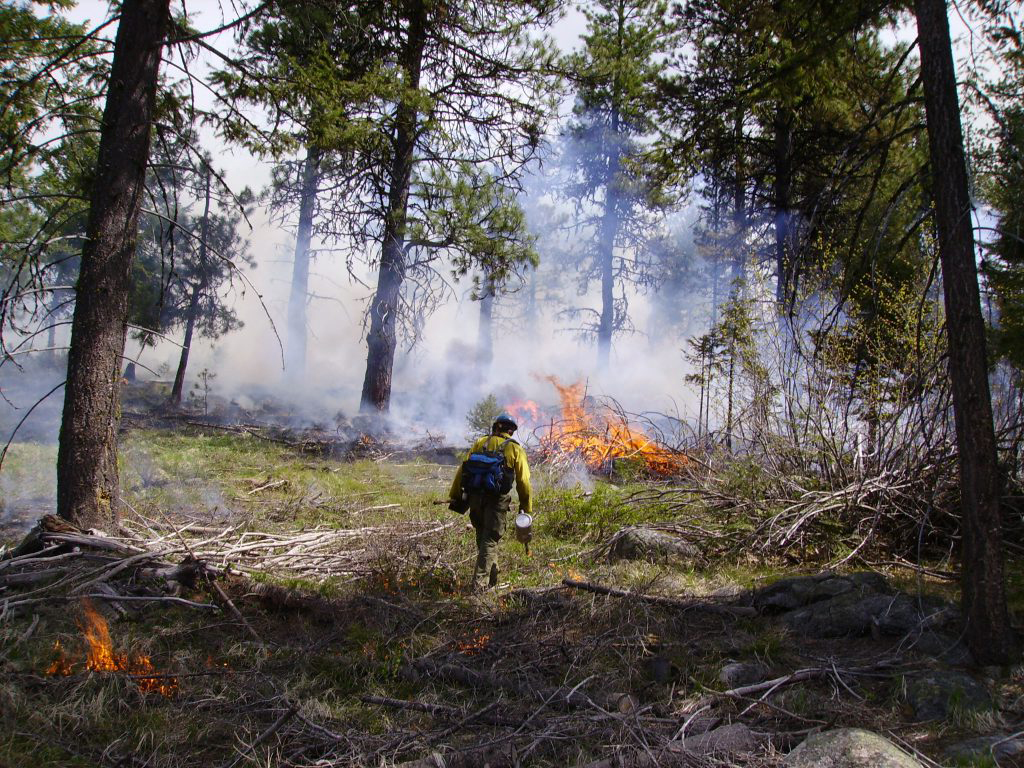 Prescribed Fire: a tool for our time - International Association of ...