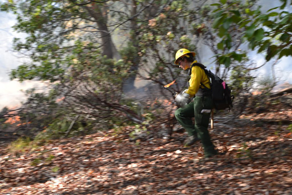 Women on Fire, Lighting up a New Path - International Association of ...