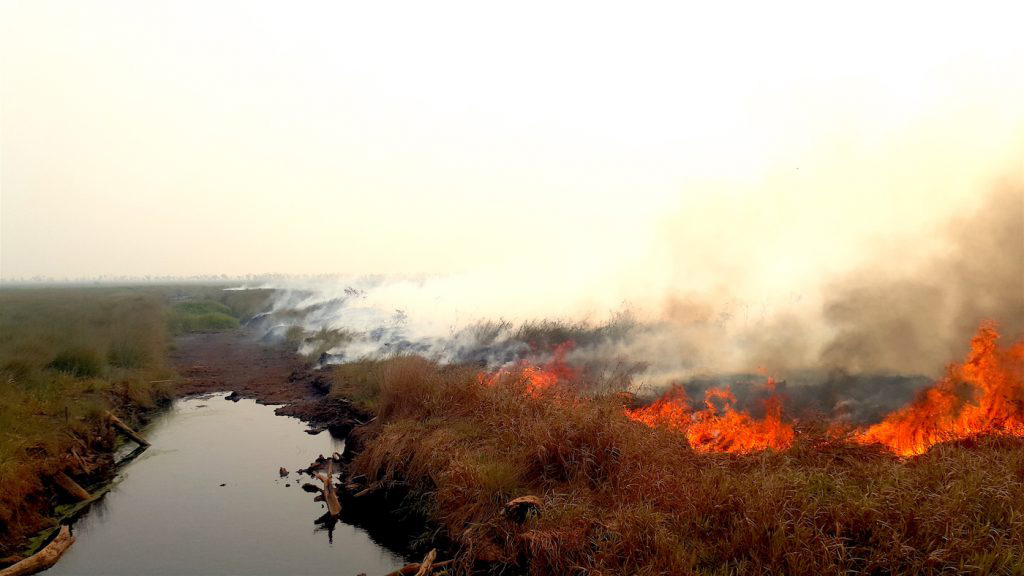 REPORT FROM INDONESIA: The promise of participation amid the politics ...