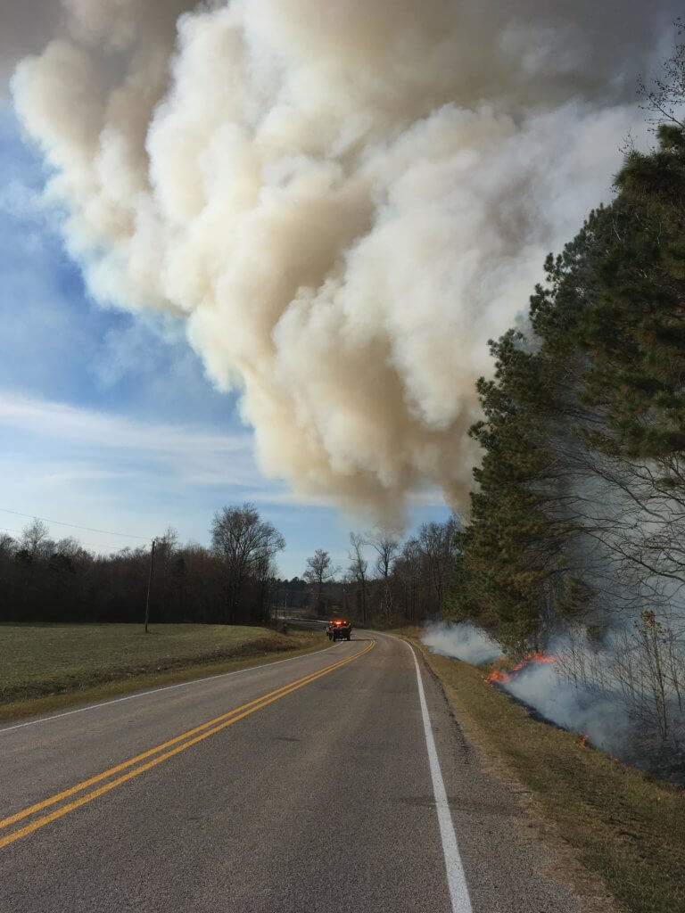 3rd International Smoke Symposium - International Association of ...