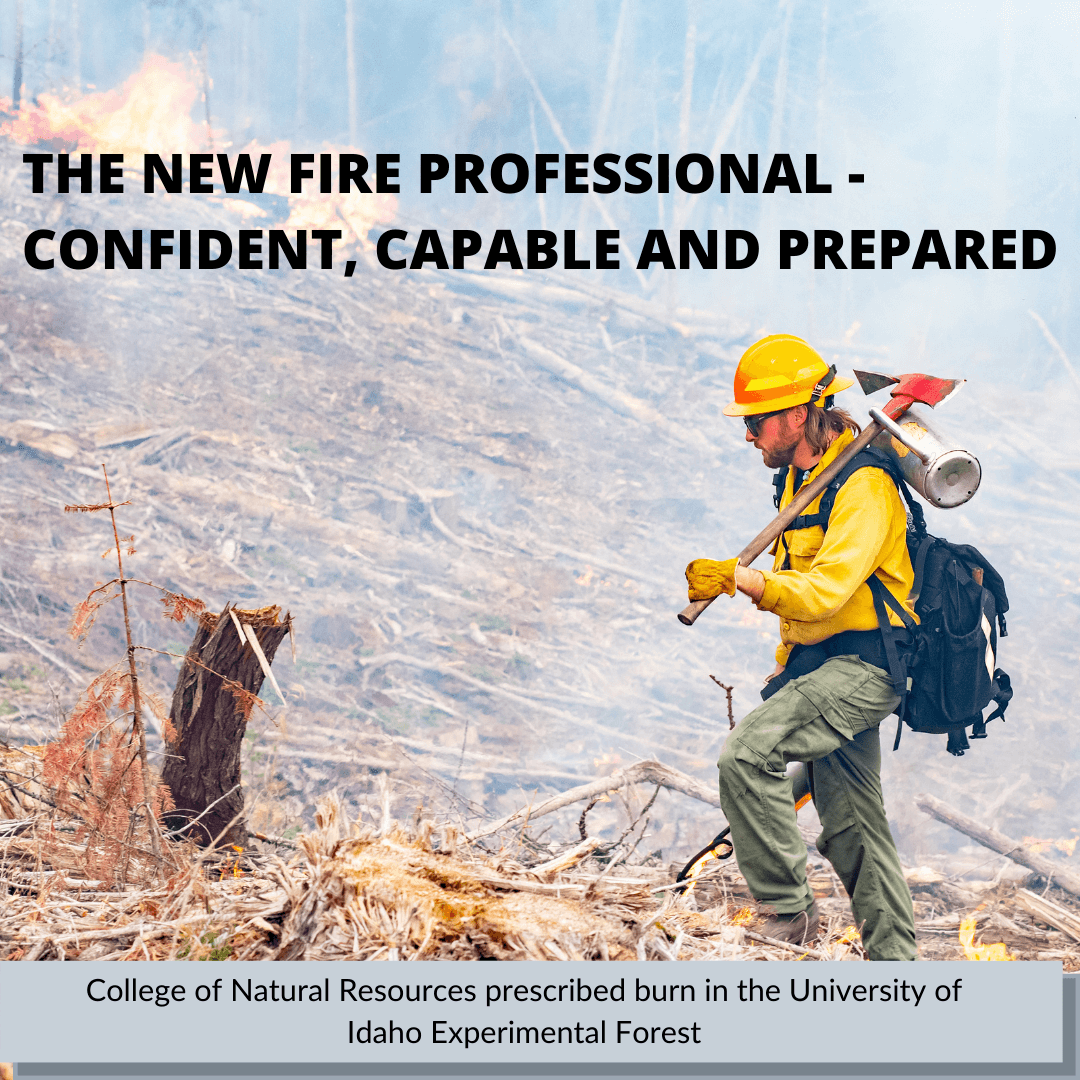 The new fire professional – confident, capable and prepared ...