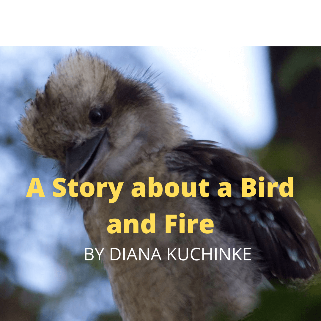 A Story about a Bird and Fire - International Association of Wildland Fire