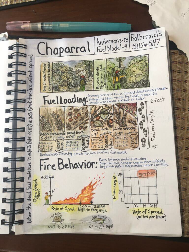 Pyrosketchology: Drawing on experiences - International Association of ...