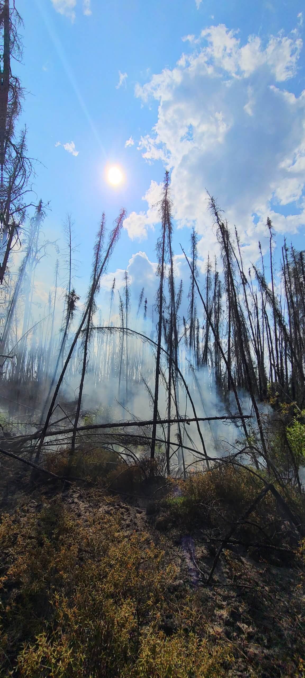 Q4-21-Cover-Ang - Copy - International Association of Wildland Fire