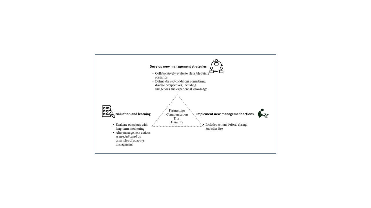 Reimagining science, management, and culture-An emerging framework for ...