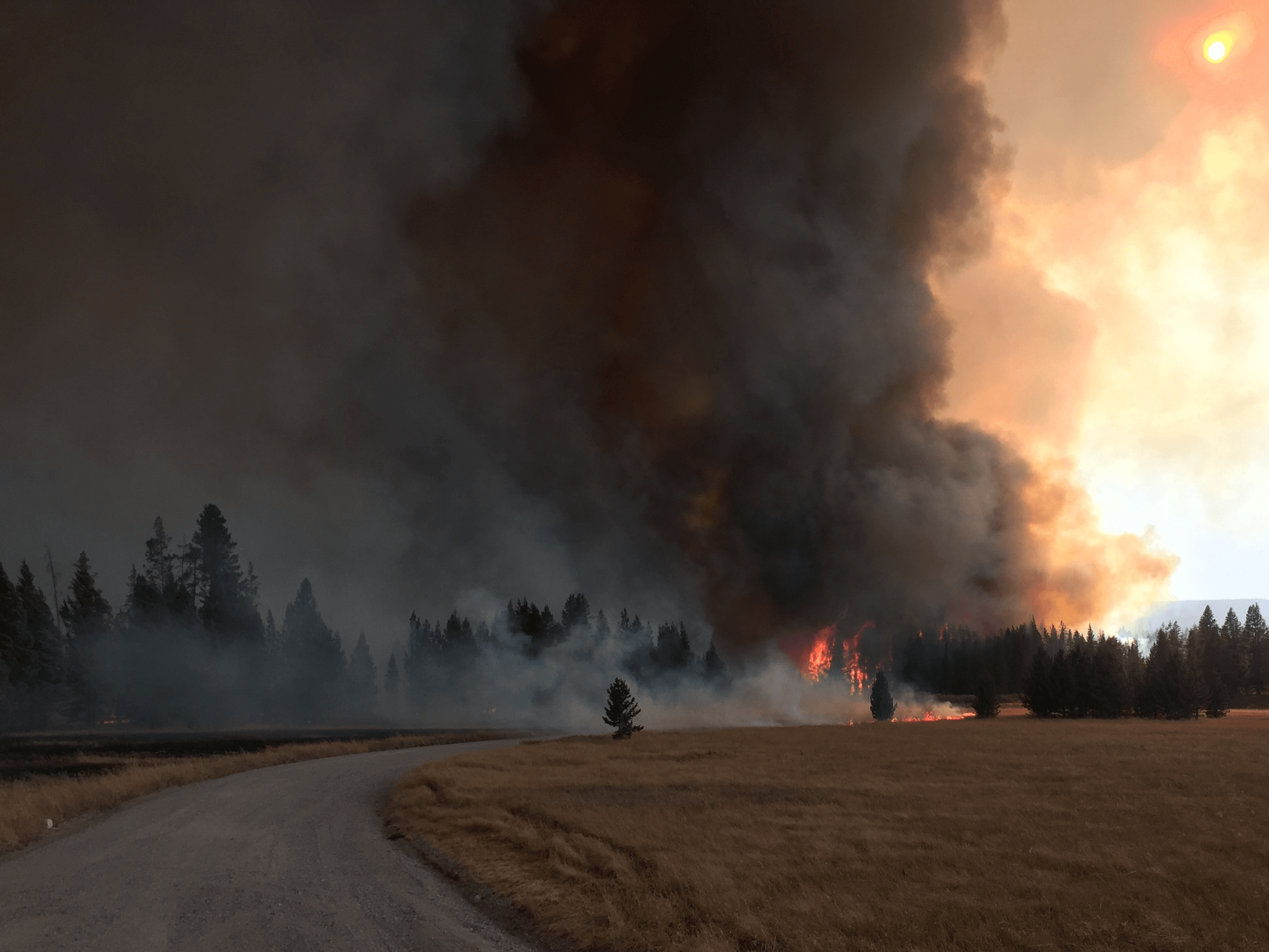 Q3-22-Fuels-Berry - International Association of Wildland Fire