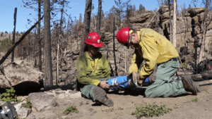 FIREFIGHTER FIRST AID-PILOT PROGRAM TEACHES TECHNIQUES SPECIFICALLY FOR ...