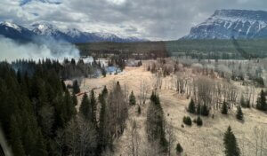 CANADA-THE IMPACT OF FIRE-EXCLUSION LEGISLATION - International ...