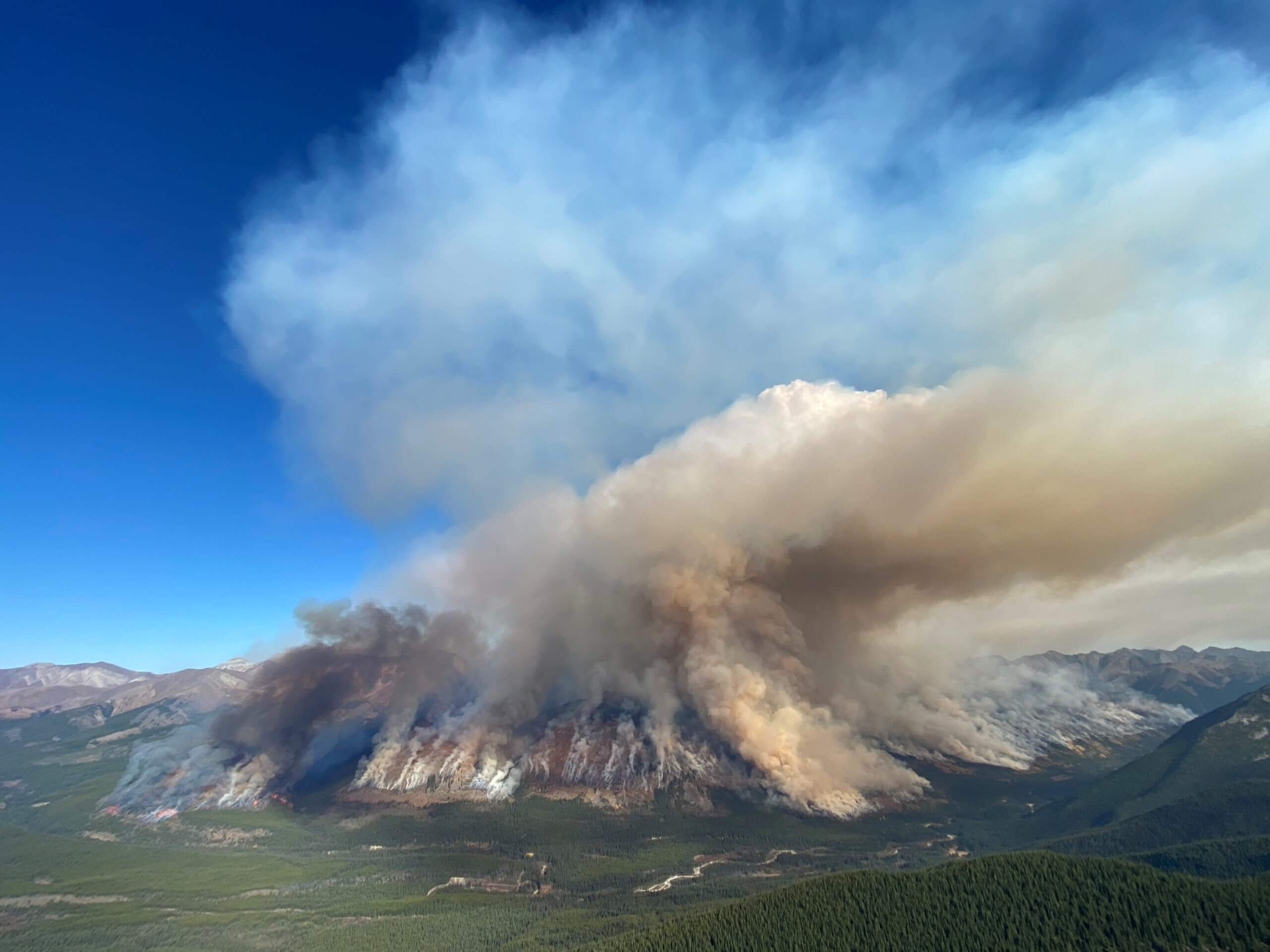 CANADA-THE IMPACT OF FIRE-EXCLUSION LEGISLATION - International ...