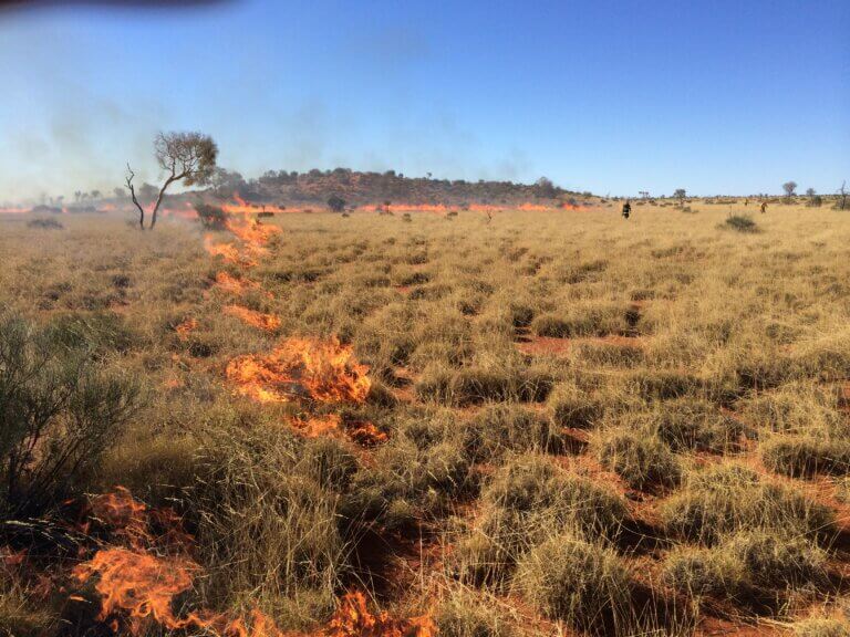AUSTRALIA FIRE-STICK FARMING - International Association of Wildland Fire