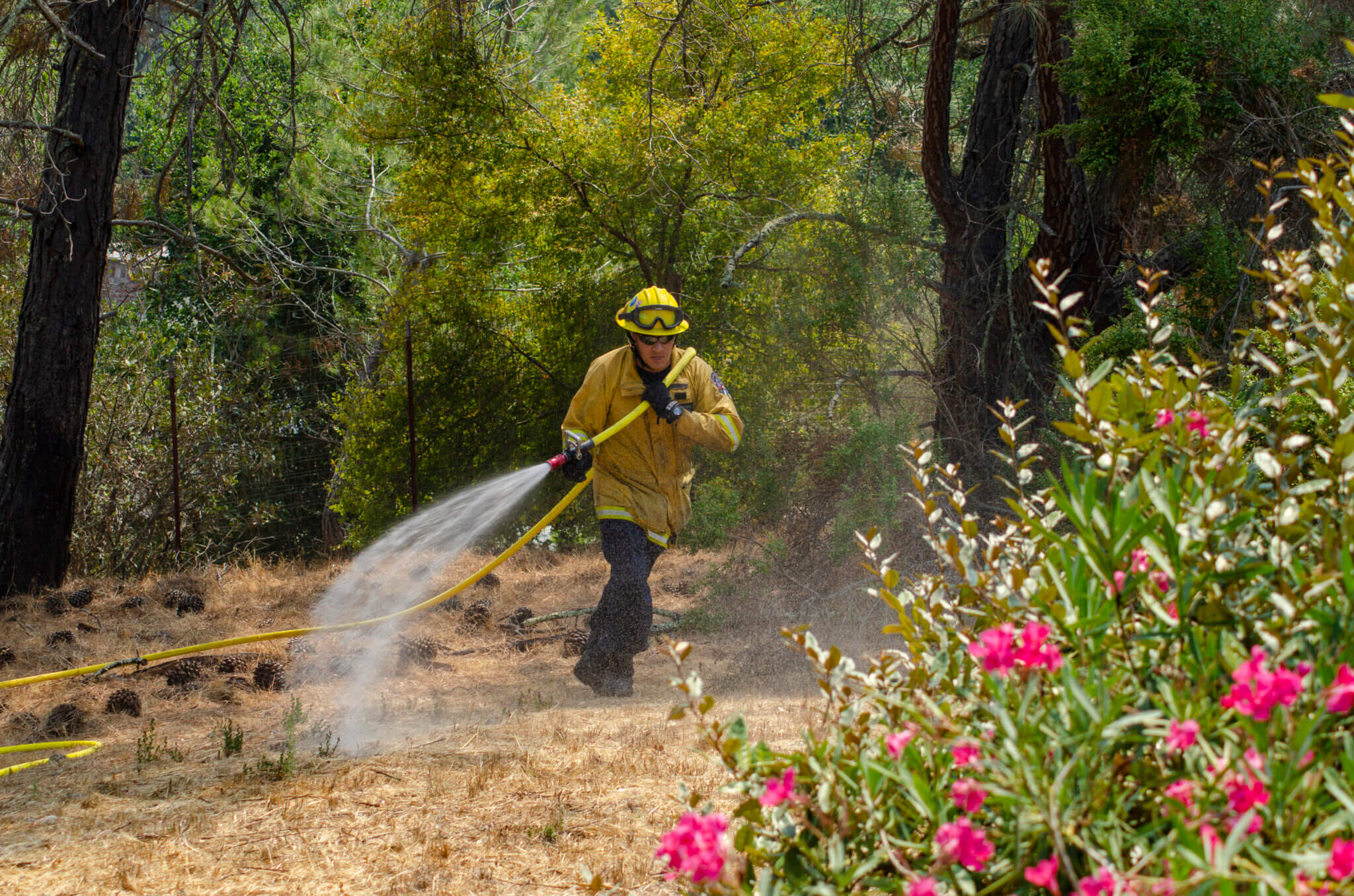 STRATEGIES-LONG-TERM FIRE RETARDANT TO MAKE PRESCRIBED BURNS SAFER ...