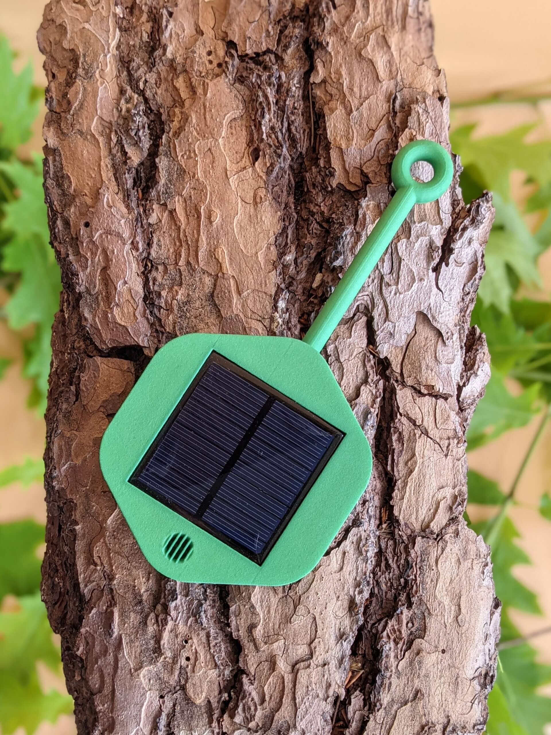 The Digital Forest: Is Sensor Technology the Way Forward ...