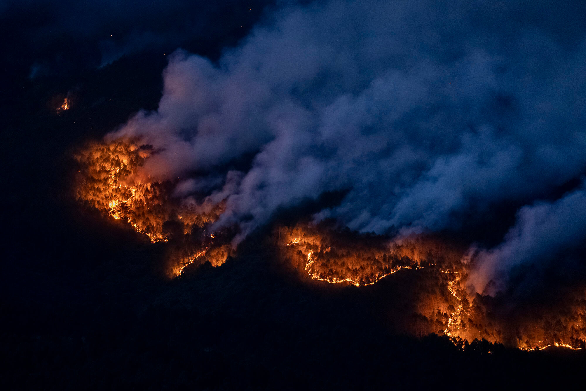 Fuelling Mega Fires - International Association of Wildland Fire