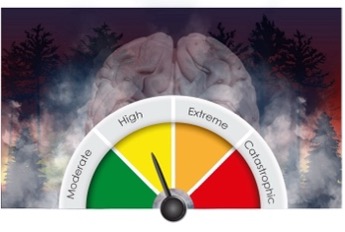 How Does Wildfire Smoke Affect the Brain? - International Association ...